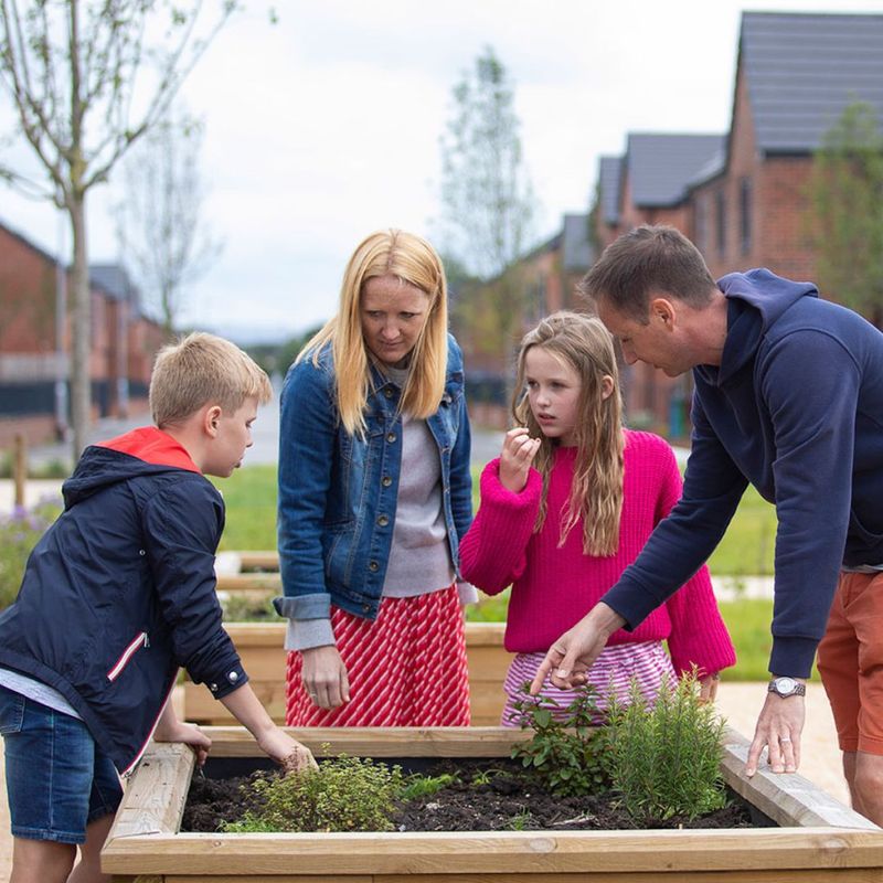 Accessible raised timber planters for community garden scheme | Images