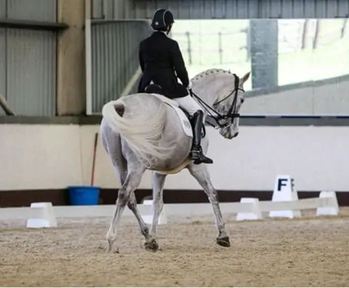 Images for CORE EQUESTRIAN specialist grid for equine surfaces