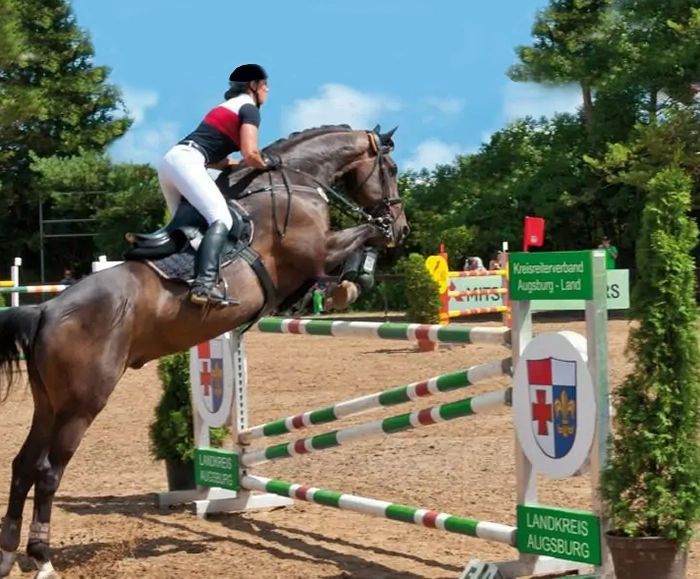 Images for CORE EQUESTRIAN specialist grid for equine surfaces