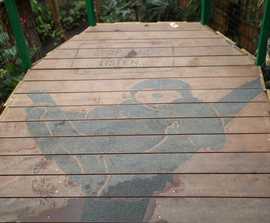 Gripsure Graphics®: Custom-Design Anti-Slip Decking | Gripsure | ESI ...