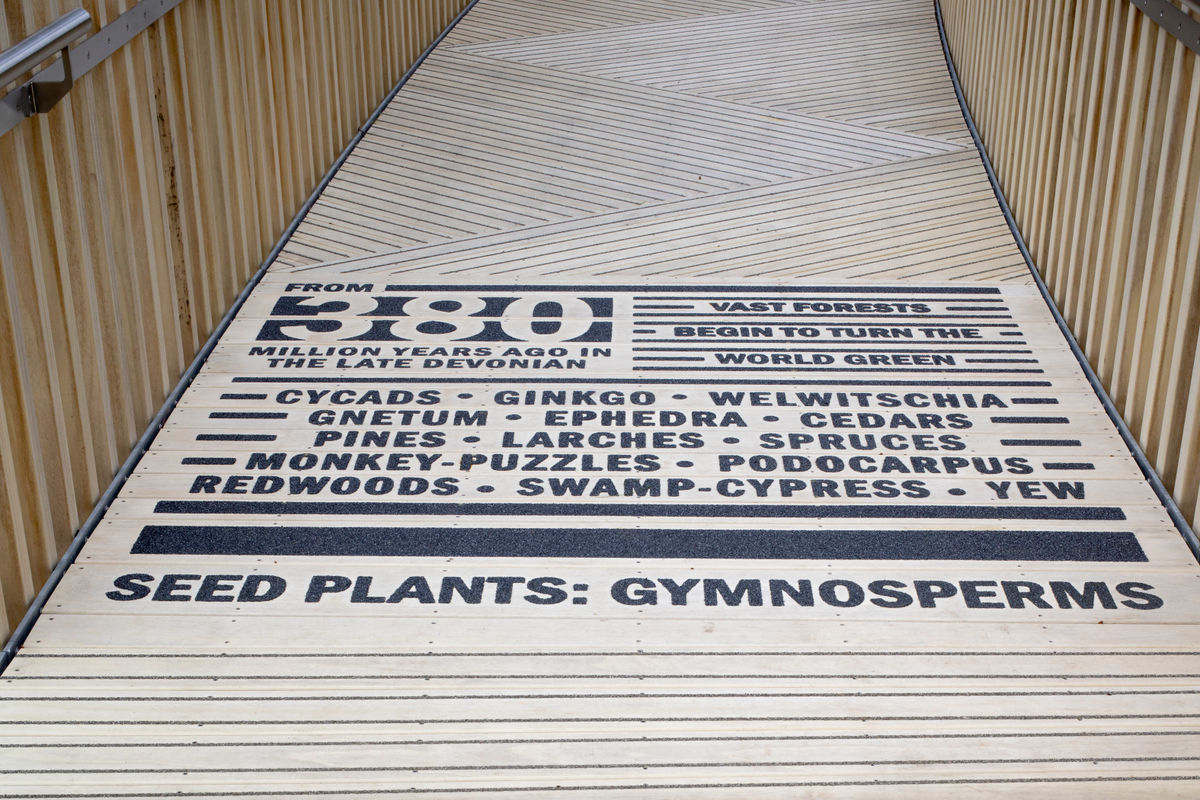 Images for Gripsure Graphics®: Custom-Design Anti-Slip Decking