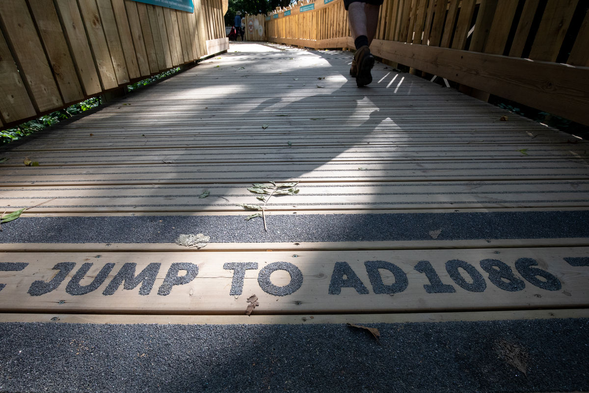 Images for Gripsure Graphics®: Custom-Design Anti-Slip Decking