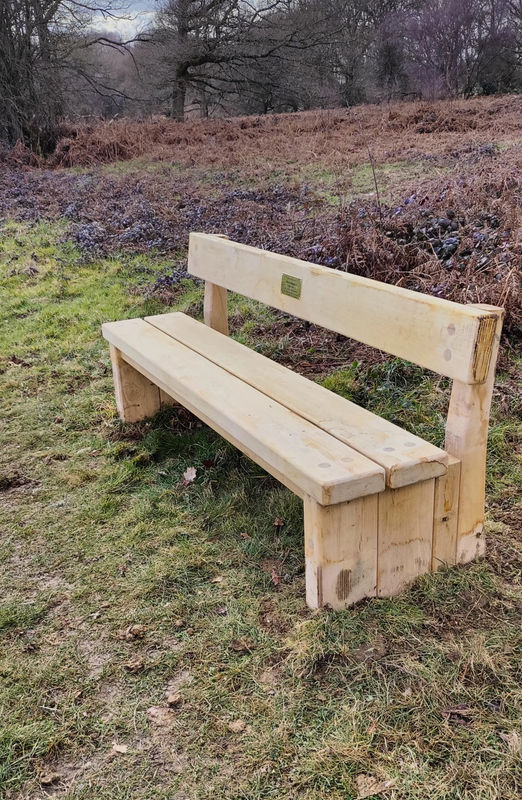 Images for Heavy-duty timber park benches for National Trust