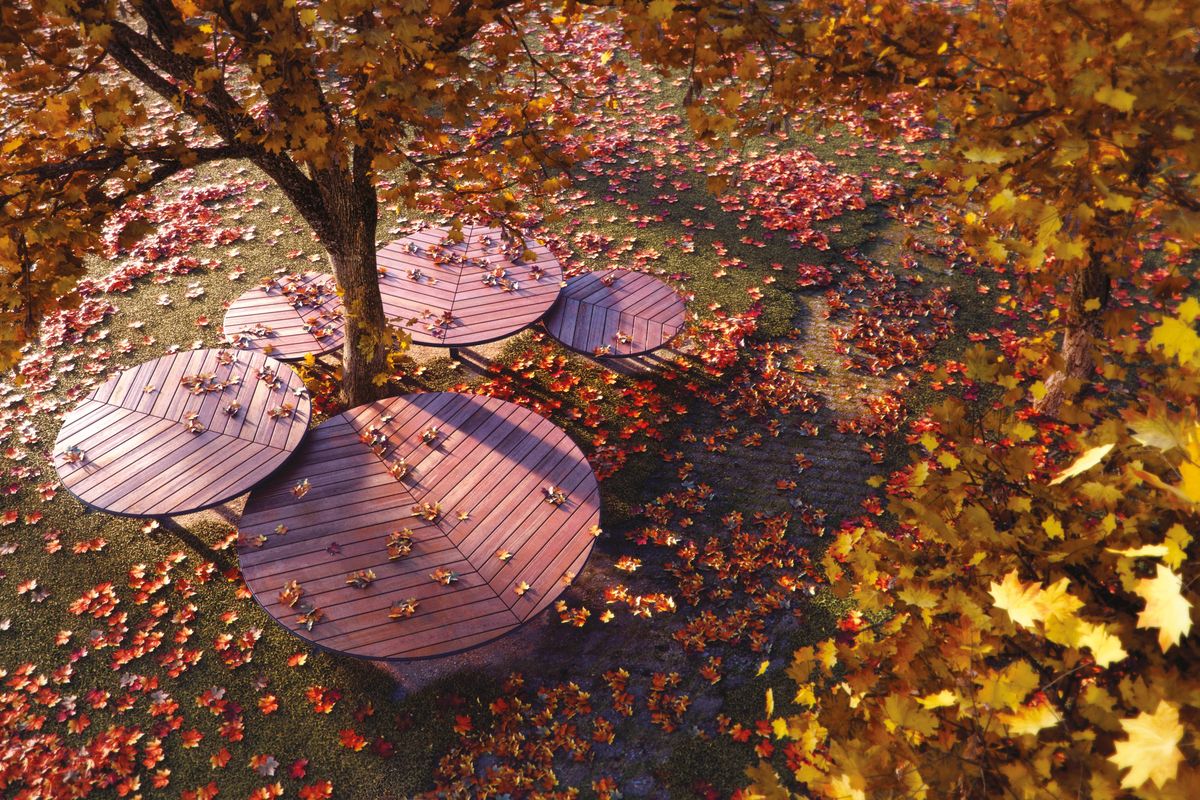 Images for Atollo Bench