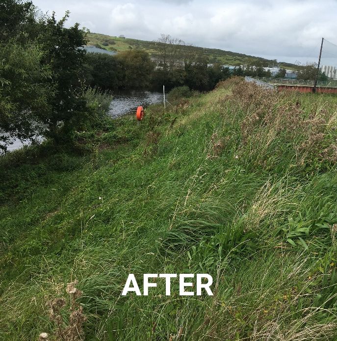 Images for CoirMesh™ coir coconut erosion control mesh blankets