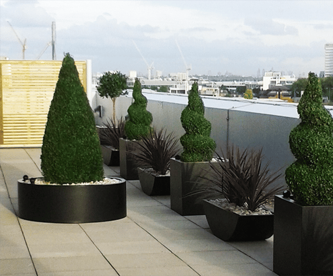 Premium Cylinder fibreglass planter | Taylor Made Planters