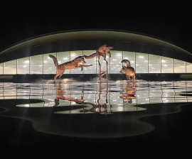 Playful fox-themed water feature for Leicester City FC | Fountains ...