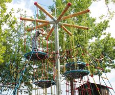 Bird's Nest Tree | Huck Play