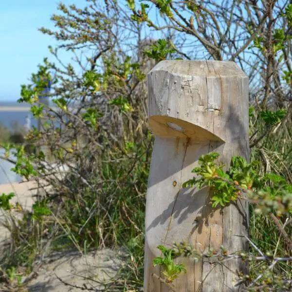 Images for Bosco 93003 wired illuminated timber bollard