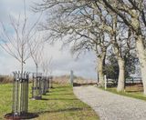 Circular, vertical bar tree guards | Paddock Fencing