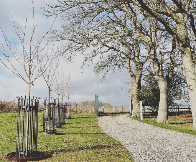 Circular, vertical bar tree guards | Paddock Fencing