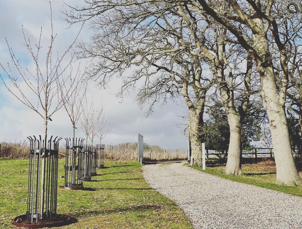 Circular, vertical bar tree guards | Images