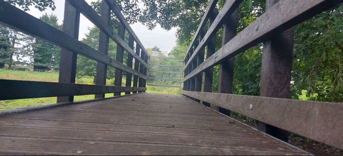 Timber pedestrian, bridle and cycle kit form bridges | Images