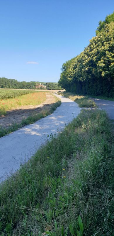 Images for Design and install of new paths for Ranscombe Farm Reserve