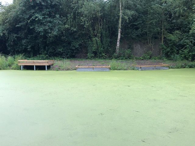 Images for Tump 53 Ponds Thamesmead Dredging And Regeneration