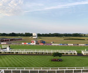 Sports grass seed | EXTERNAL WORKS