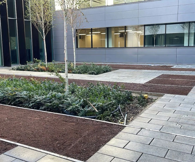 RoofEdge edging - Department of Physics, Cambridge University | Kinley