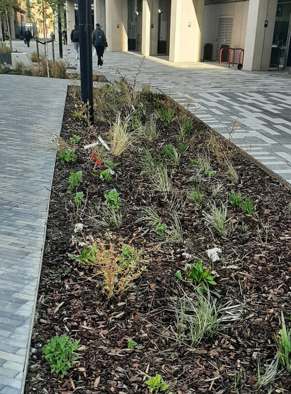 Images for Kinley's 200mm high Fort edging for Buchanan Wharf