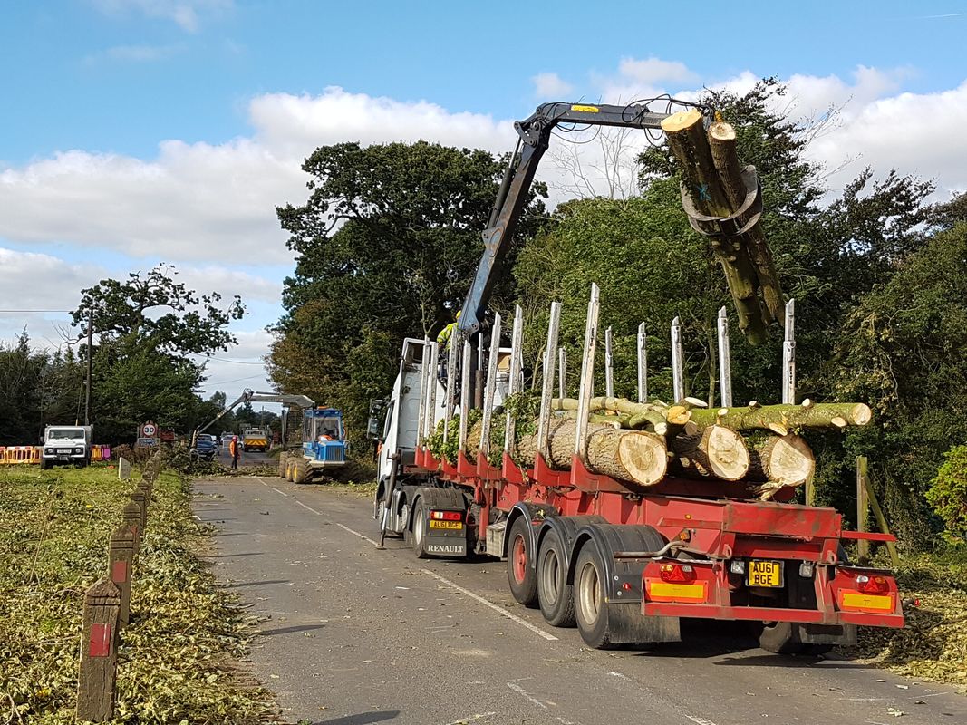 Images for Vegetation Clearance for new Norwich Northern Distributor Road
