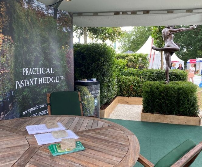 Behind The Scenes - Creating An Award-Winning RHS Garden | Practicality ...