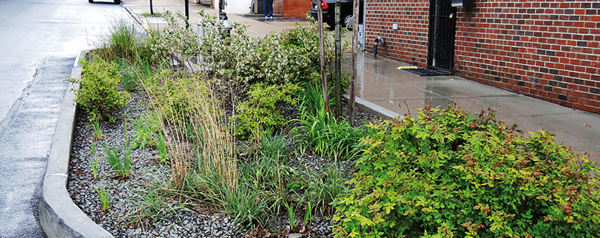 Images for SuDS Overflow Gully unit for rain gardens and bioretention