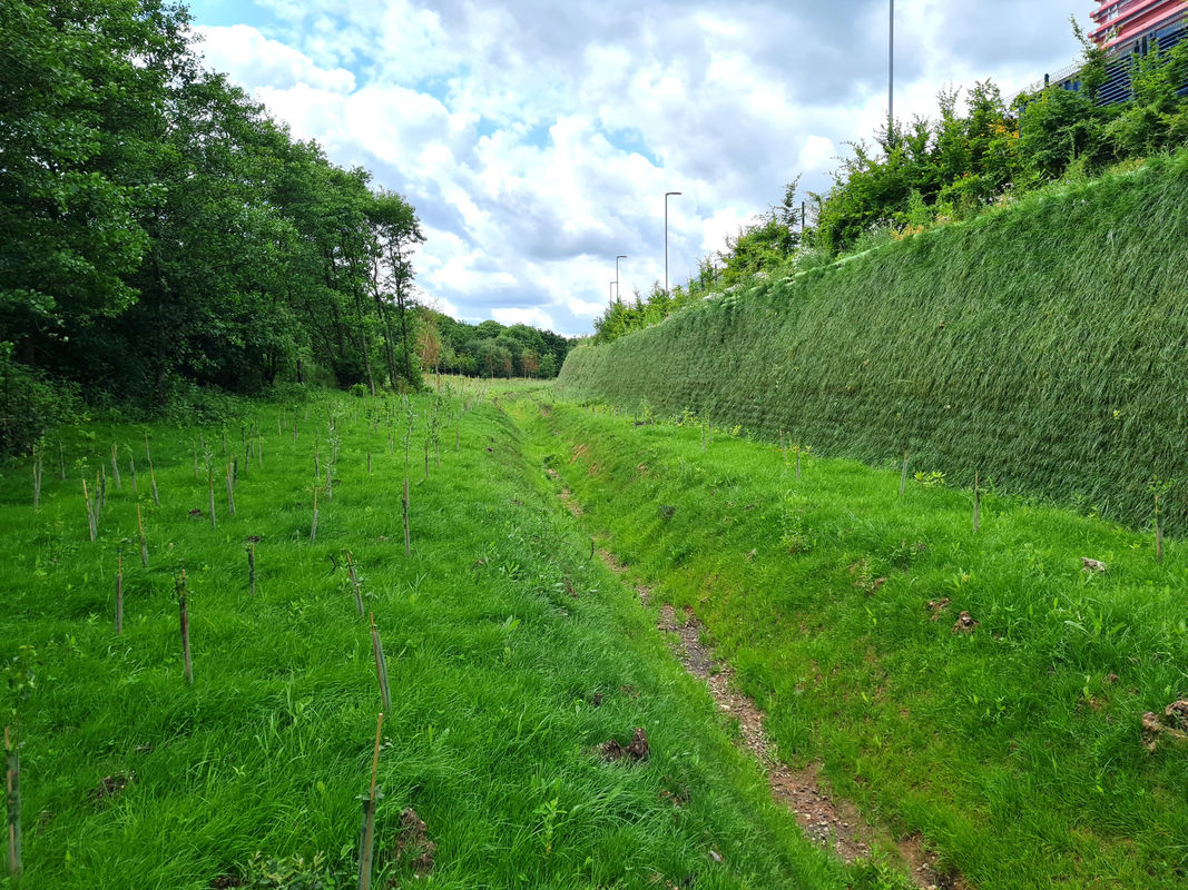 Rootlok Vegetated Gravity Wall System | Images