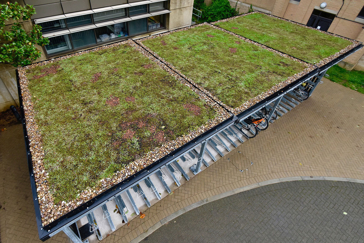 Green roof cycle shelter and 2-tier bike racks for university | Images