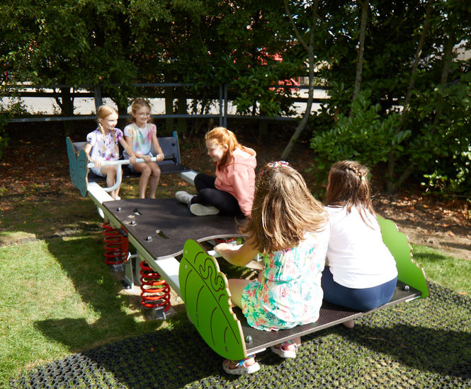 Group inclusive seesaw for 6+ users | Sutcliffe Play