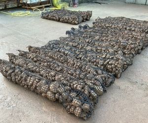 Erosion control meshes | EXTERNAL WORKS