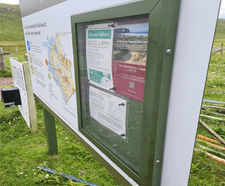 Avenue outdoor poster display cases | Signscape and Signconex