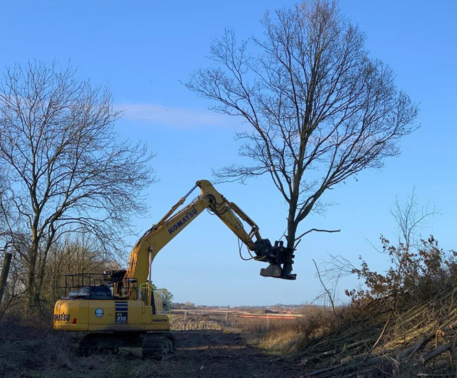 Tree and vegetation clearance | Practicality Brown Environmental ...