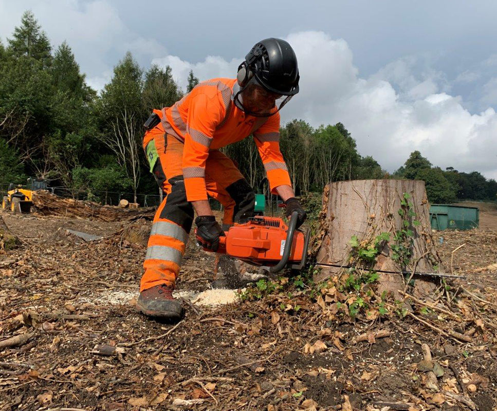 Images for Tree clearance services; stump grinding; felling