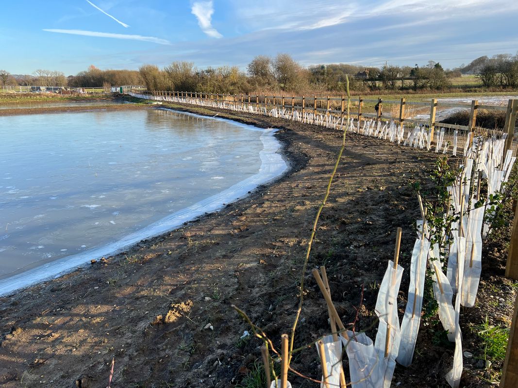 Eco-Haven™ biodegradable bio-polymer tree guards | Images