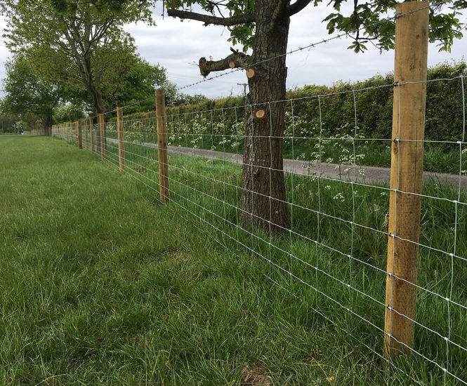 Agricised® timber fencing posts and strainers | M&M Timber