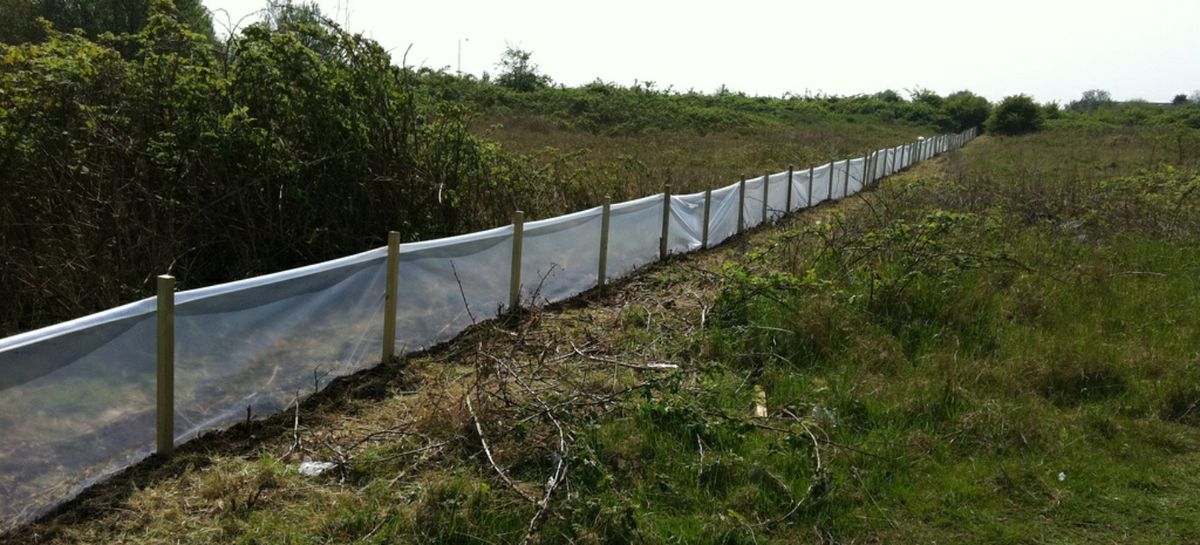 Ecofender™ Standard Temporary Newt Fence | Images
