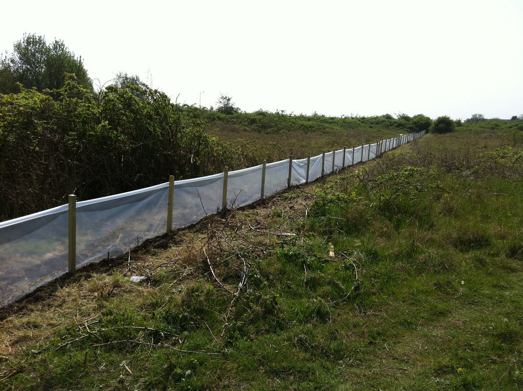 Images for Ecofender™ Standard Temporary Newt Fence