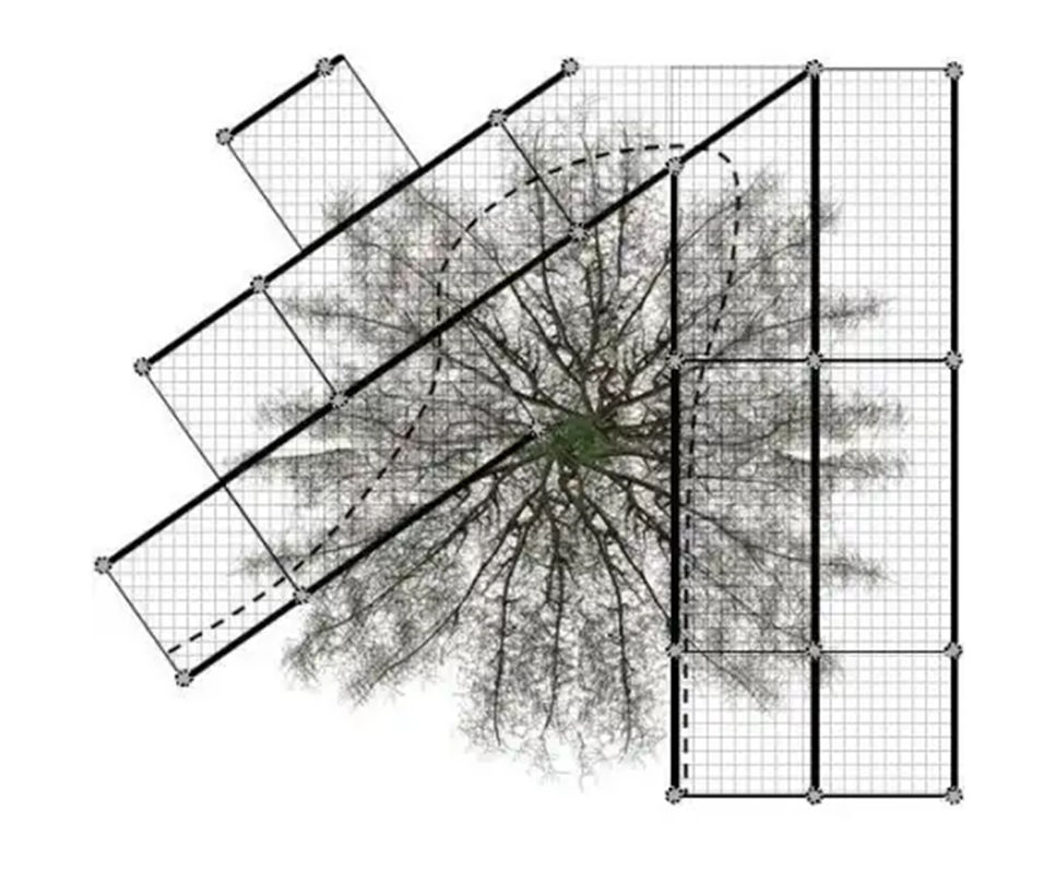 Images for RootBridge – bridges for tree root protection