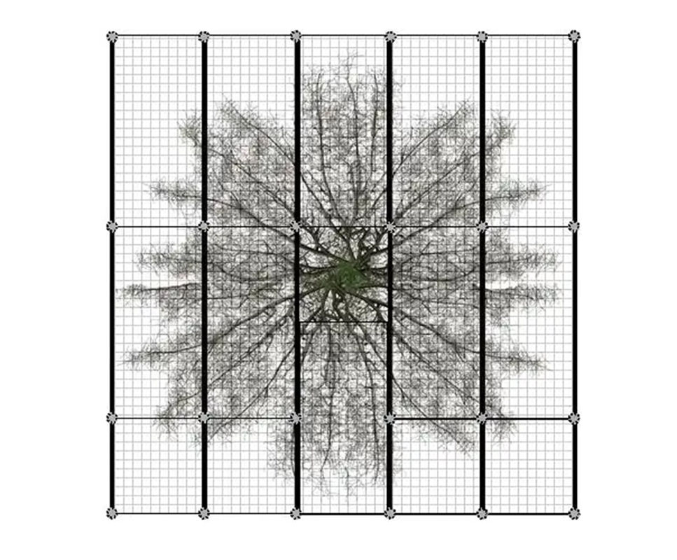 Images for RootBridge – bridges for tree root protection
