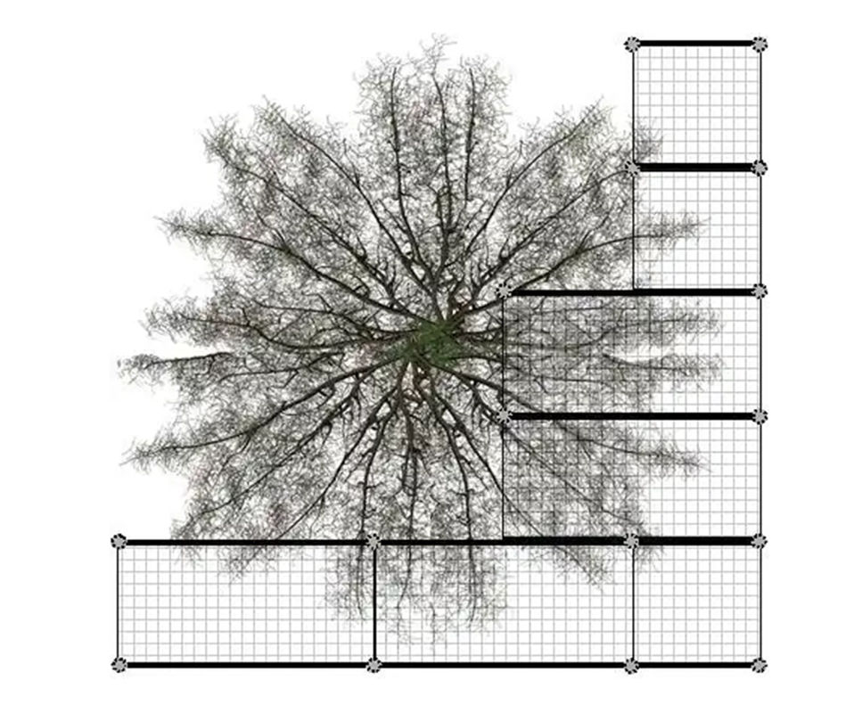 Images for RootBridge – bridges for tree root protection