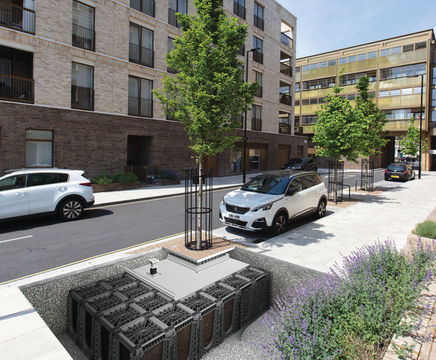 CellWeb™ TRP – tree root protection system | Geosynthetics