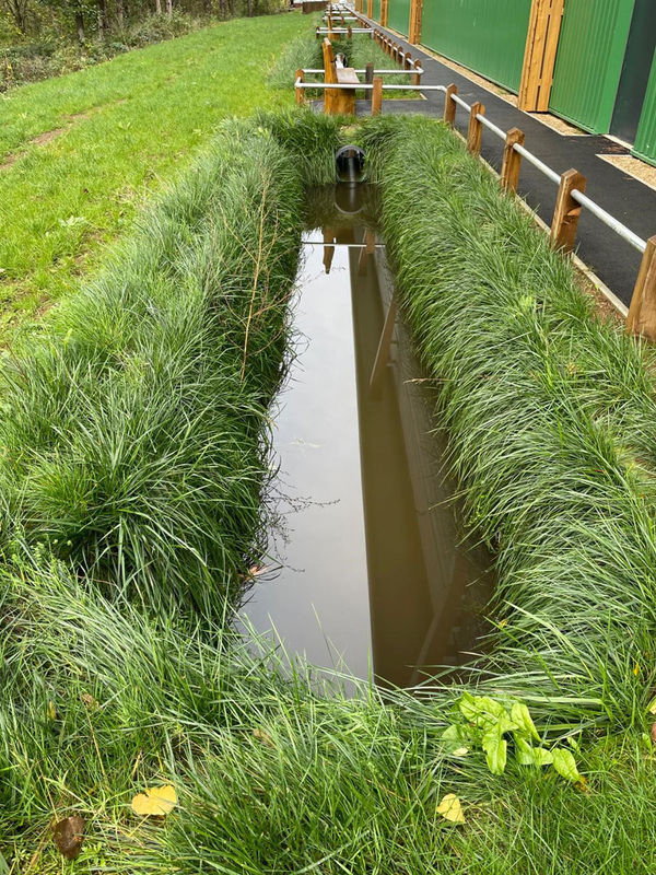 Rootlok Vegetated Headwalls | Images