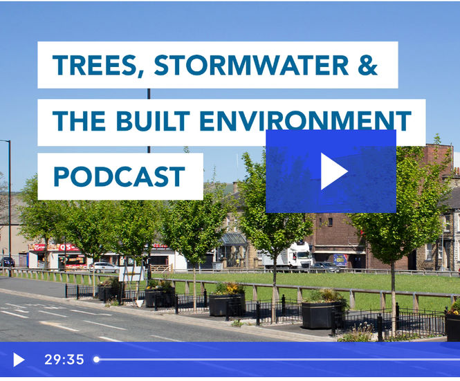 Podcast: Sustainable drainage solutions for pollution control ...