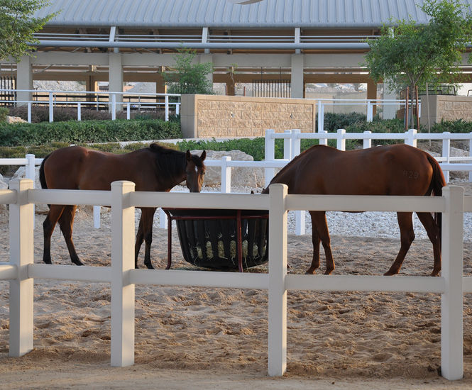 Duralock equestrian and racing paddock fencing | Duralock