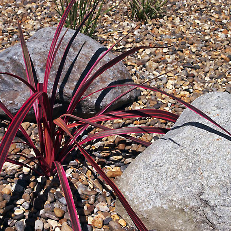 Images for Welsh quartz boulders