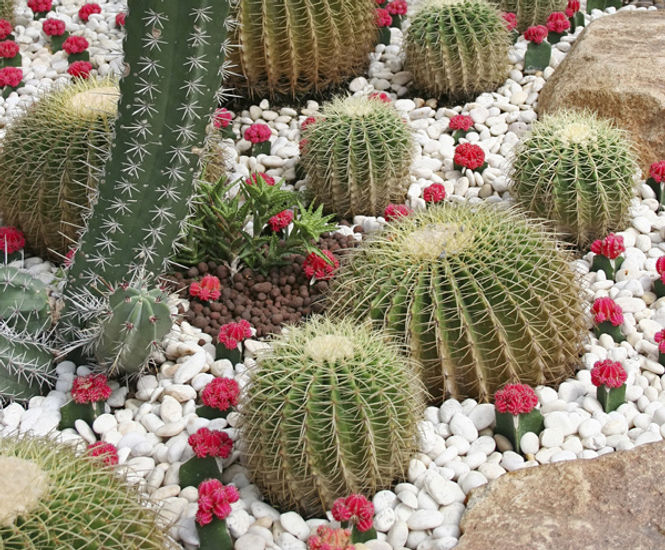 Polar White Spanish marble pebbles | Derbyshire Specialist Aggregates