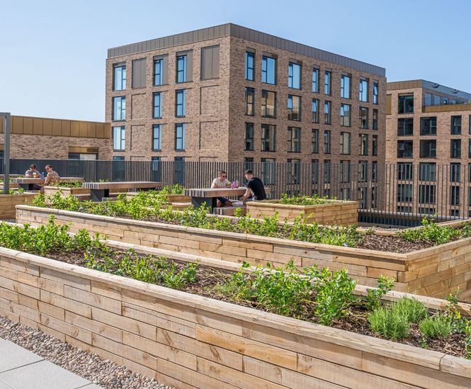 Timber planters and seating for rooftop gardens - Central Quay | WoodBlocX