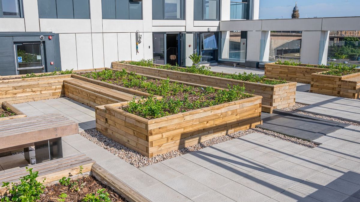 Timber planters and seating for rooftop gardens - Central Quay | Images