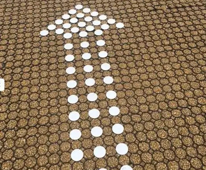 Images for CellPave® 40 Interlocking Cellular Paving Grid