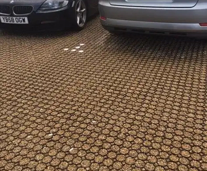 Images for CellPave® 40 Interlocking Cellular Paving Grid