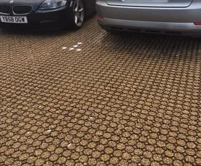 CellPave® 40 Interlocking Cellular Paving Grid | Groundtrax Systems